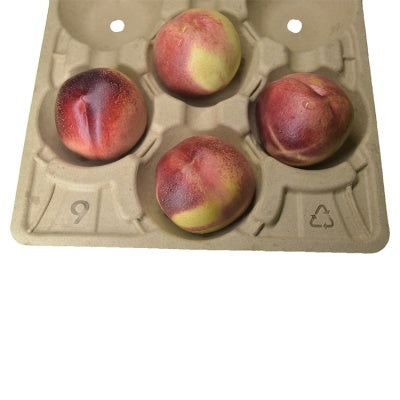 Biodegradable paper pulp dry pressing 9 holes fruit tray – GPM