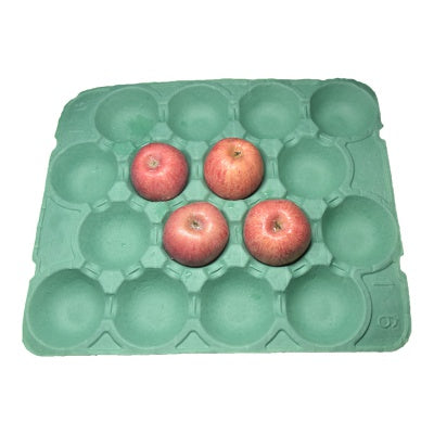 16 holes paper pulp biodegradable apple tray – GPM